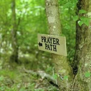 Current Retreats - Well of Mercy